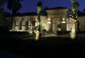 Palm Tree Lighting: How to Light Up Your Palms - Roto Lighting