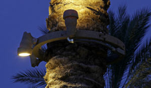 Roto Lighting® Palm Tree Ring 12V - Roto Lighting