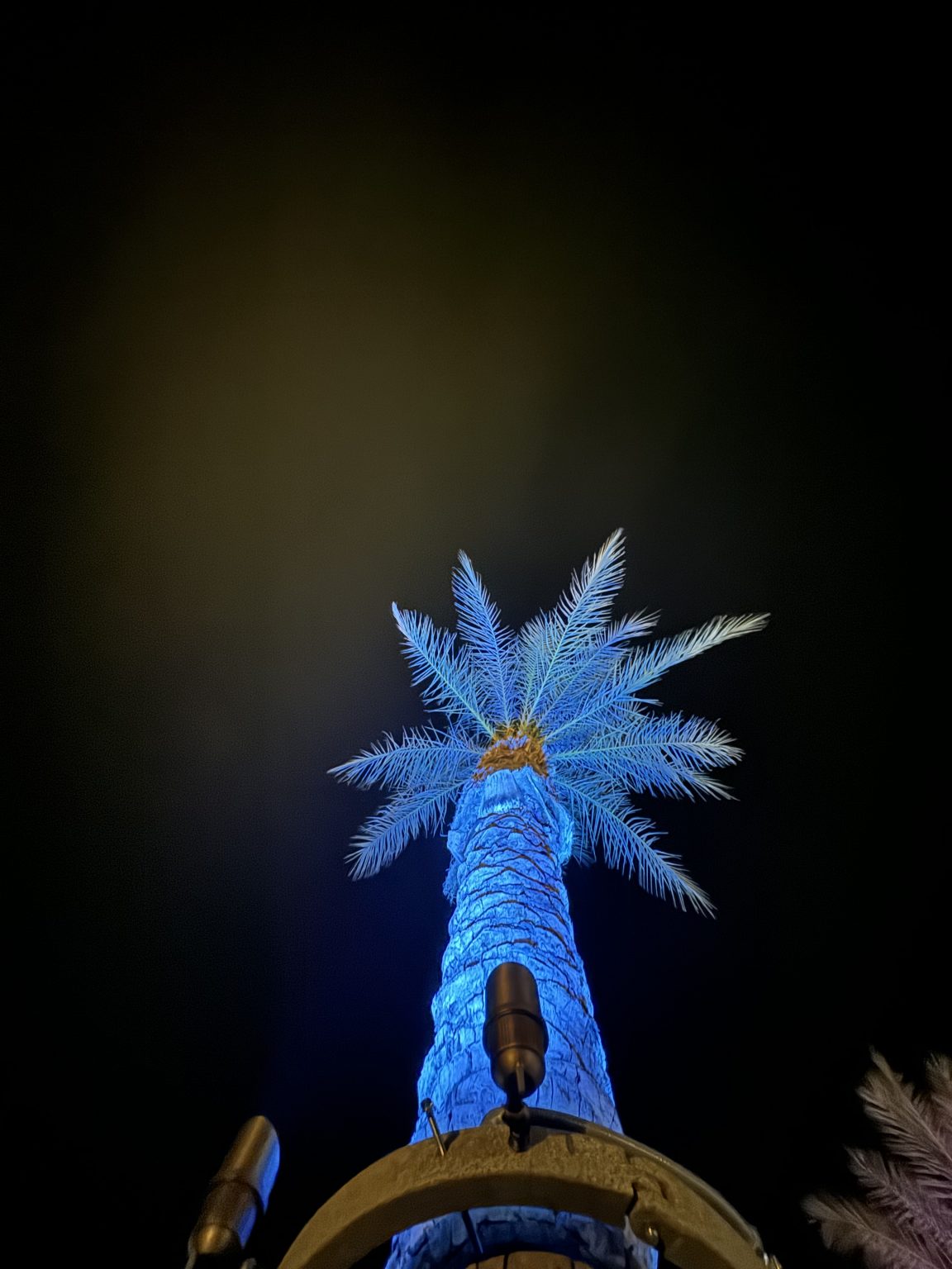 Roto Lighting® Color Changing Palm Tree Ring RGBW 5W - Roto Lighting