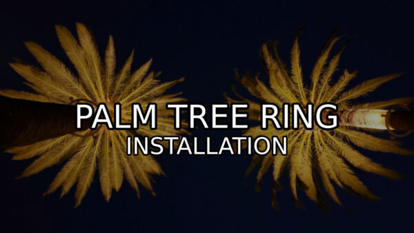 Palm Tree Ring Installation - Roto Lighting