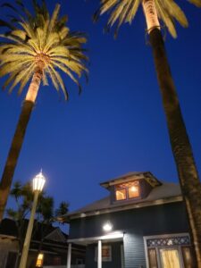 Roto Lighting® Palm Tree Ring 12V - Roto Lighting
