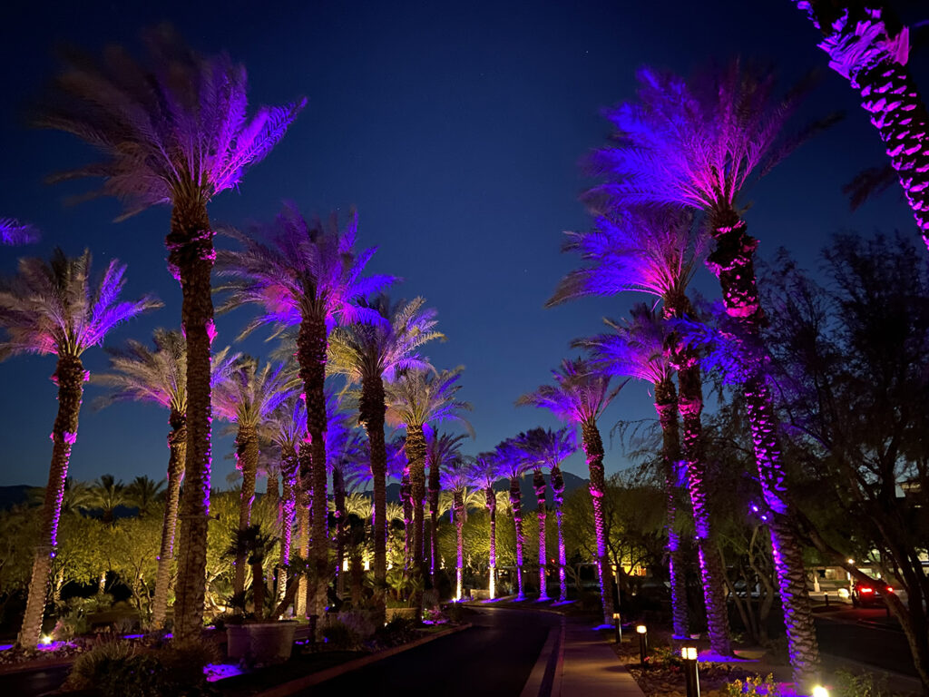 Roto Lighting® RGBW LED Palm Tree Ring 10W - Roto Lighting