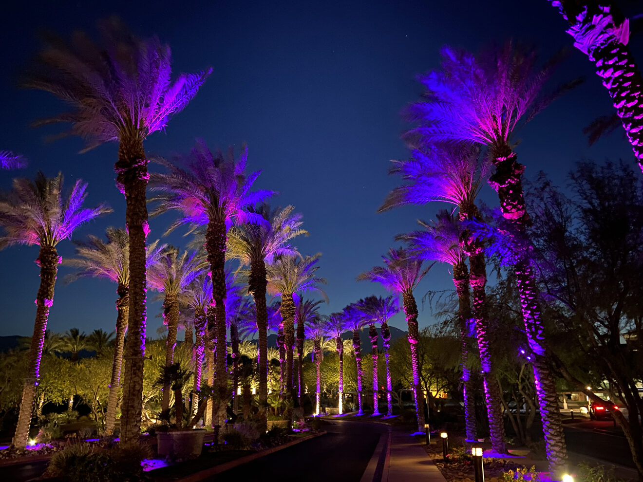 Roto Lighting® RGBW LED Palm Tree Ring 10W - Roto Lighting