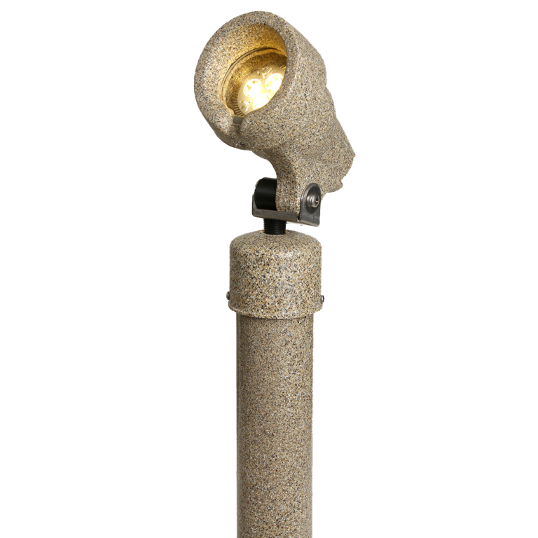 Palm Tree Lighting: How to Light Up Your Palms - Roto Lighting