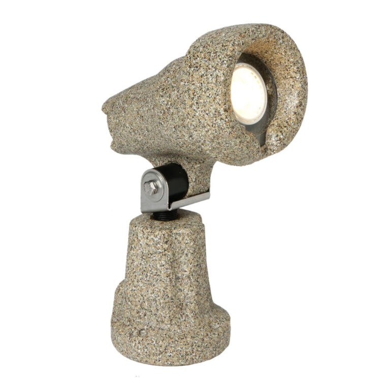 Palm Tree Lighting: How to Light Up Your Palms - Roto Lighting